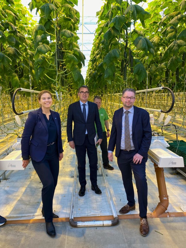 Bruk næringshagene!